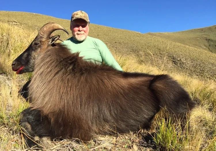 New Zealand Tahr Hunt