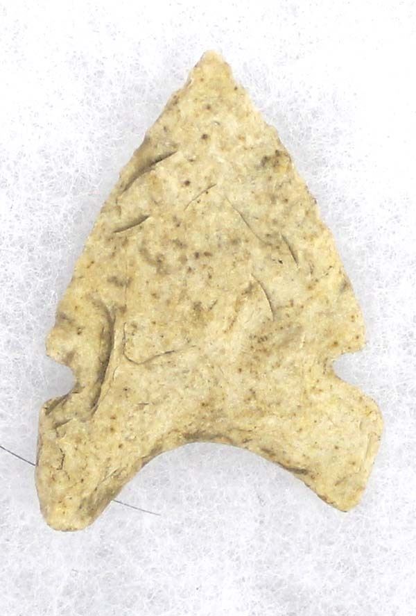 Prehistoric Hardaway Palmer Stone Arrowhead