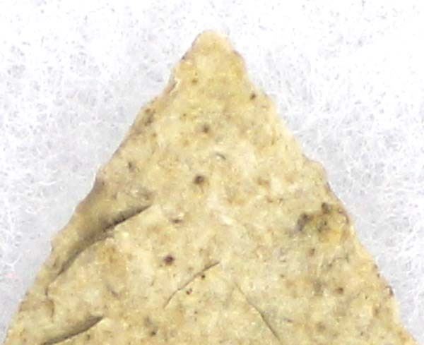Prehistoric Hardaway Palmer Stone Arrowhead