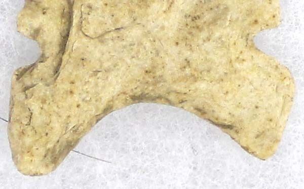 Prehistoric Hardaway Palmer Stone Arrowhead