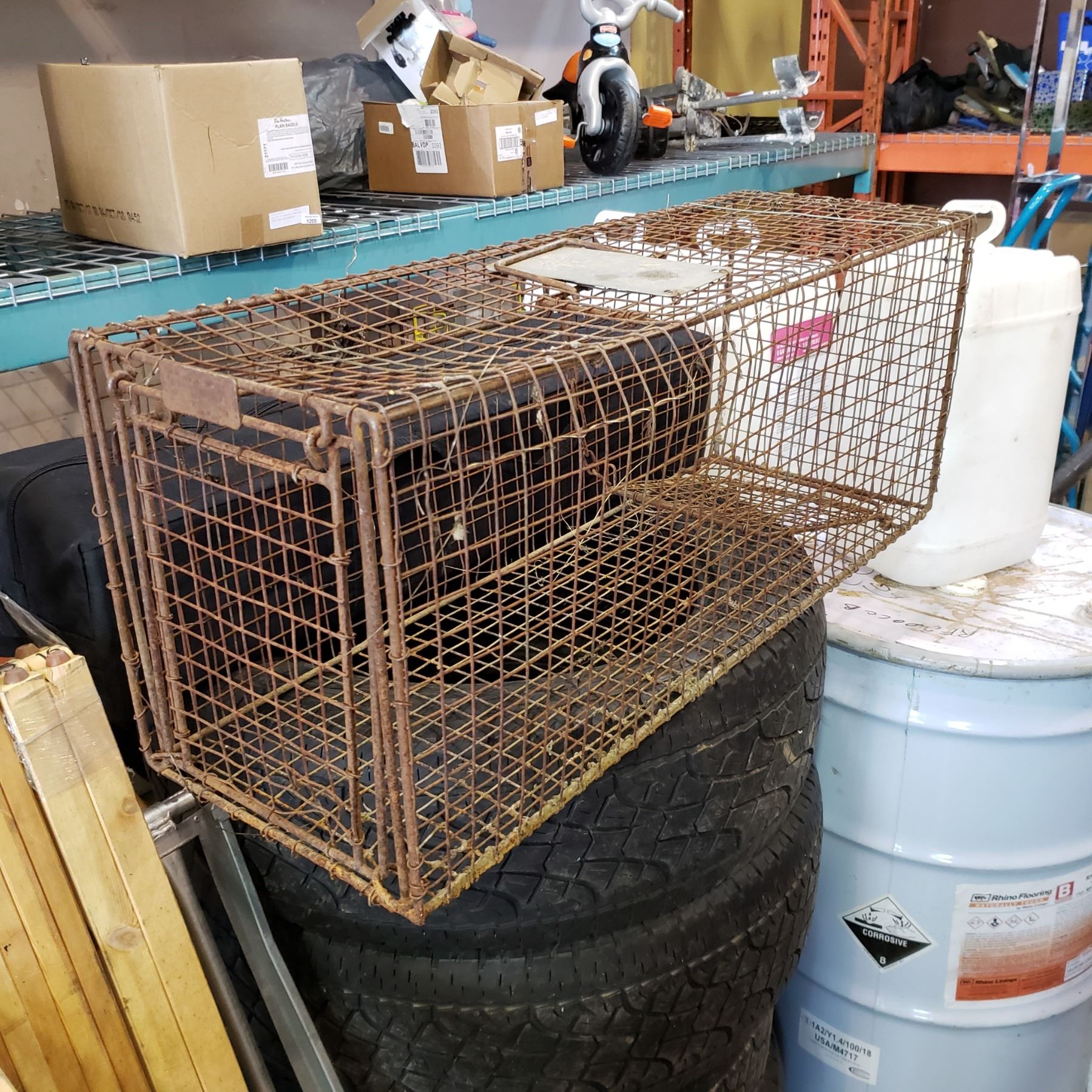 EXTRA LARGE LIVE TRAP - Big Valley Auction EXTRA LARGE LIVE TRAP - Big Valley Auction