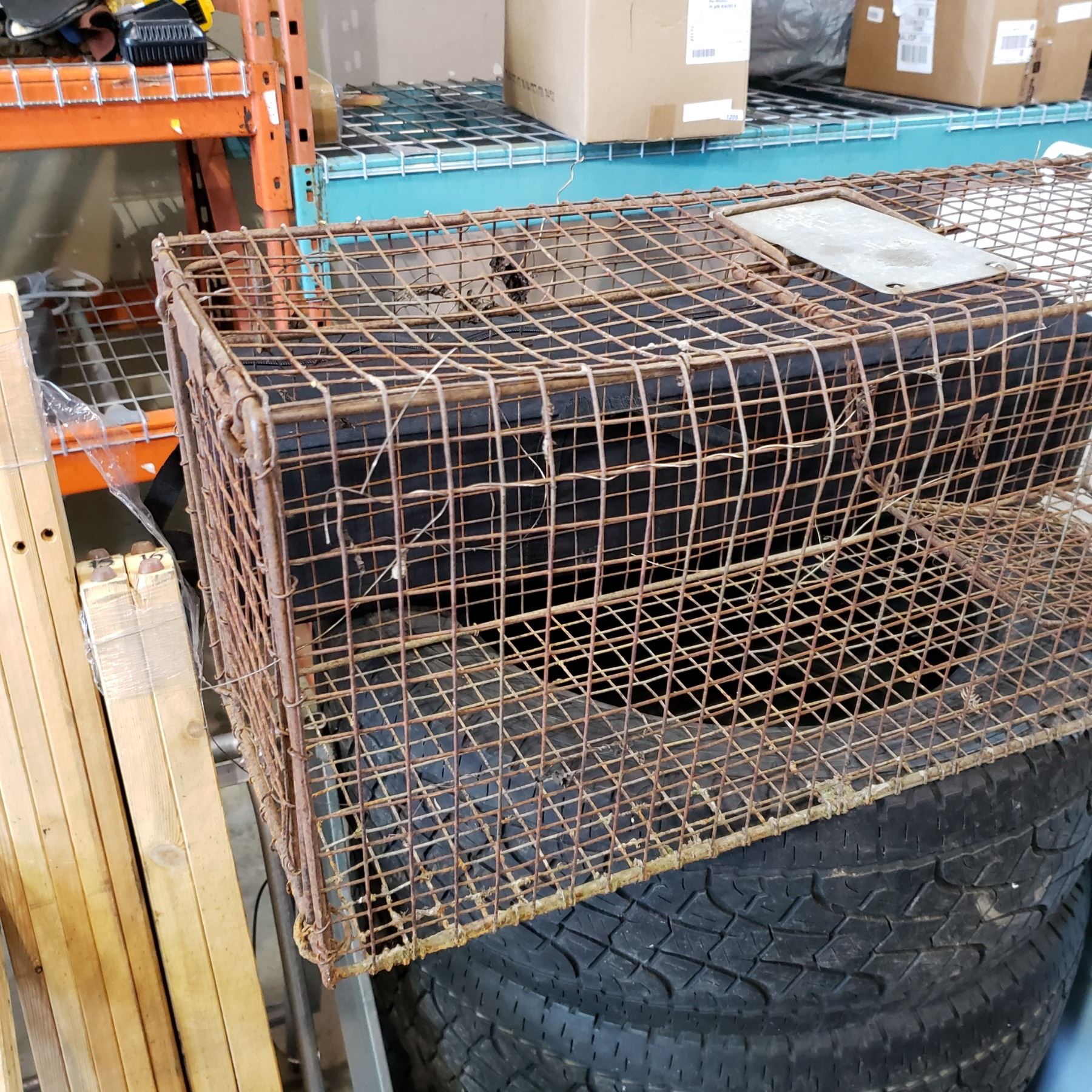 EXTRA LARGE LIVE TRAP - Big Valley Auction EXTRA LARGE LIVE TRAP - Big Valley Auction