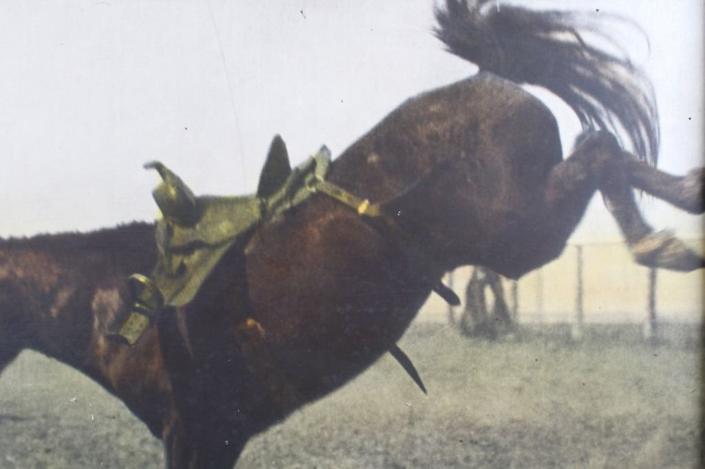 Original R. Doubleday Bucking Bronco Rodeo Photo