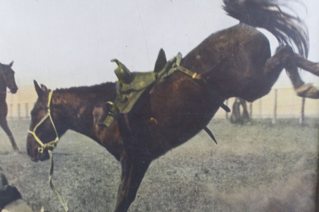 Original R. Doubleday Bucking Bronco Rodeo Photo