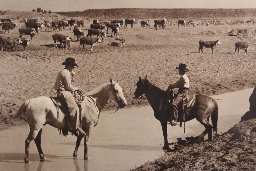 1930's Montana Cattle Ranchers by Barnes & Caplin