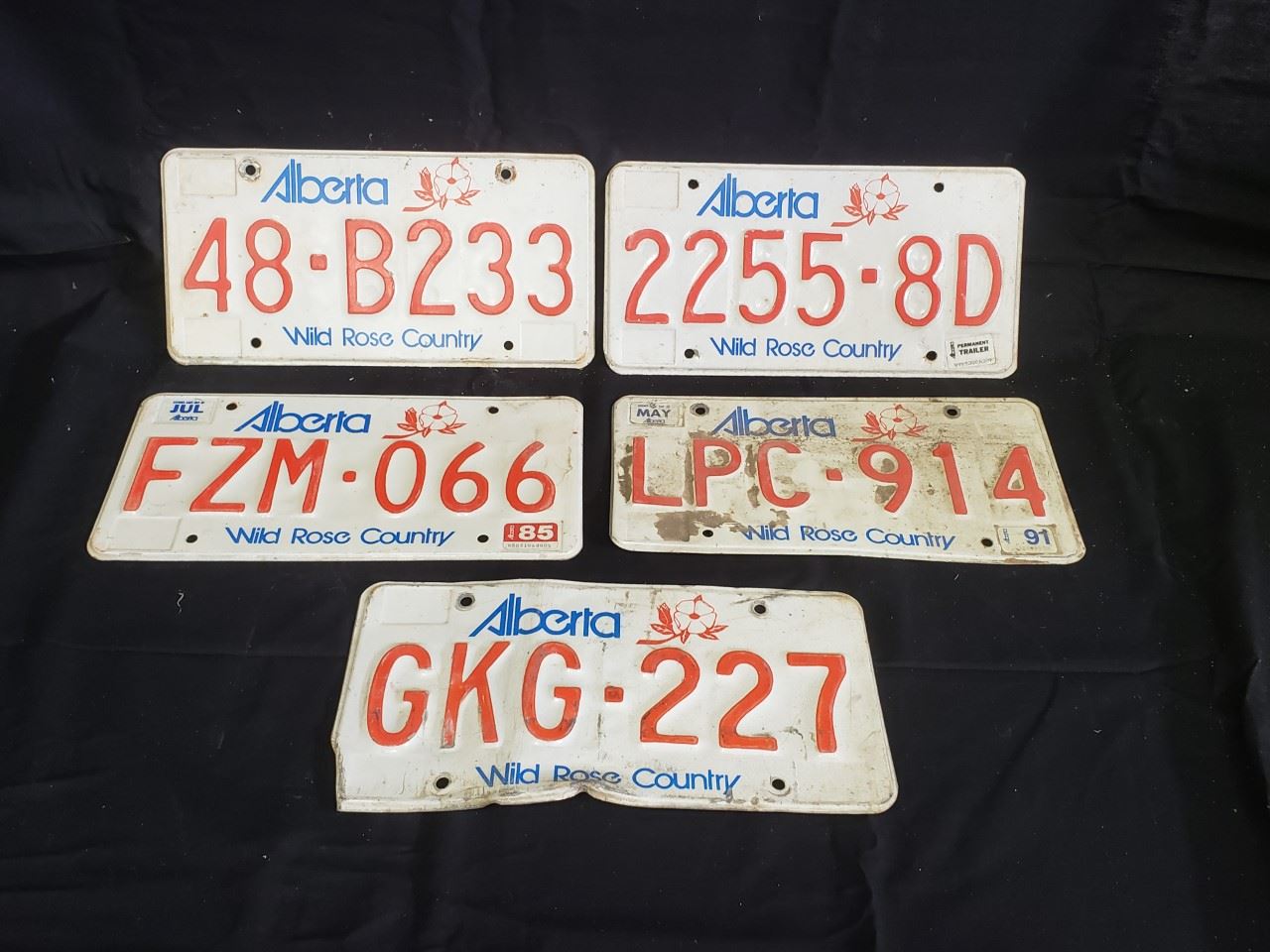 NO RESERVE SET OF FIVE ALBERTA LICENSE PLATES no-reserve-set-of-five-alberta-license-plates