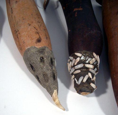 A COLLECTION OF PHALLOCRYPTS