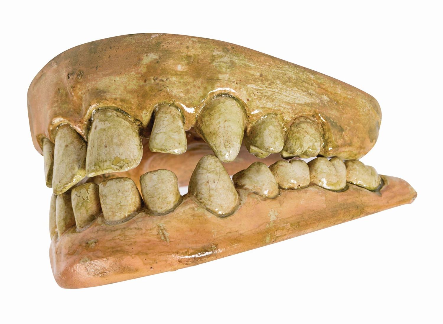 Harry and the Hendersons Plaster Teeth.