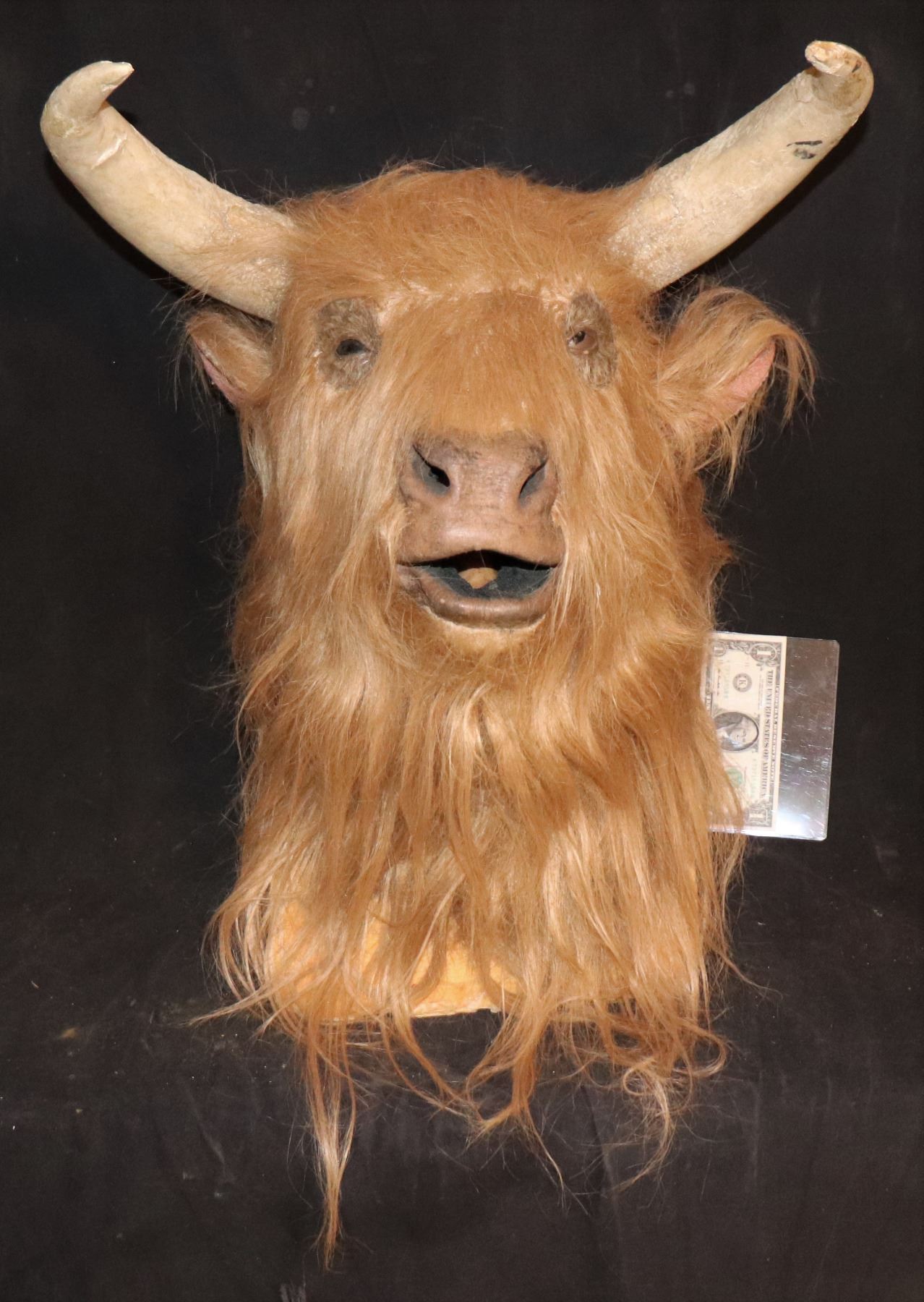 NARNIA CAPE BUFFALO WARRIOR FULL HEAD MASK