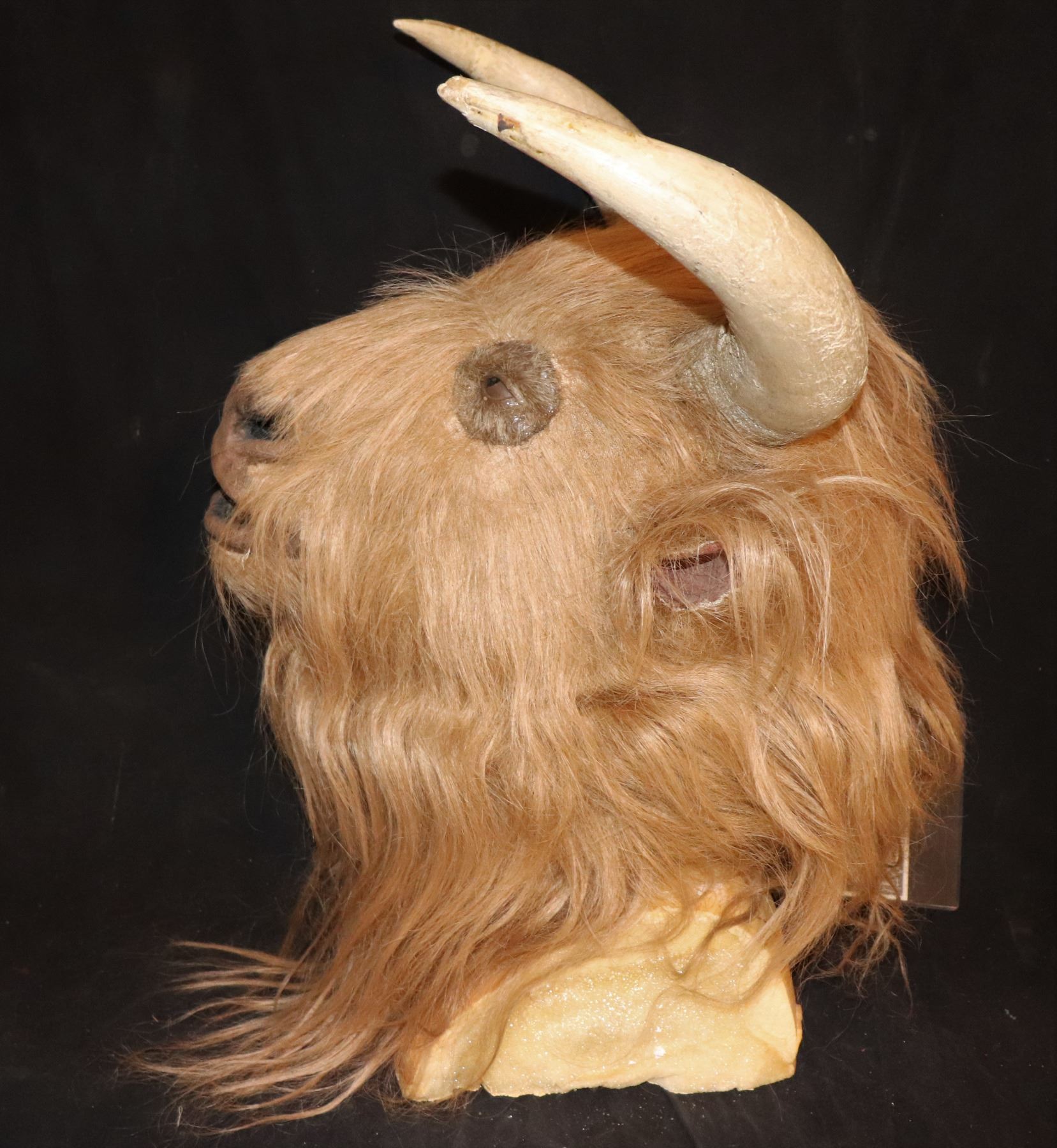 NARNIA CAPE BUFFALO WARRIOR FULL HEAD MASK