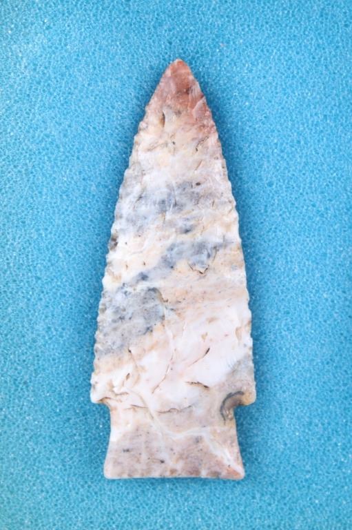 9500-7000BP Scottsbluff Spear Points Collection