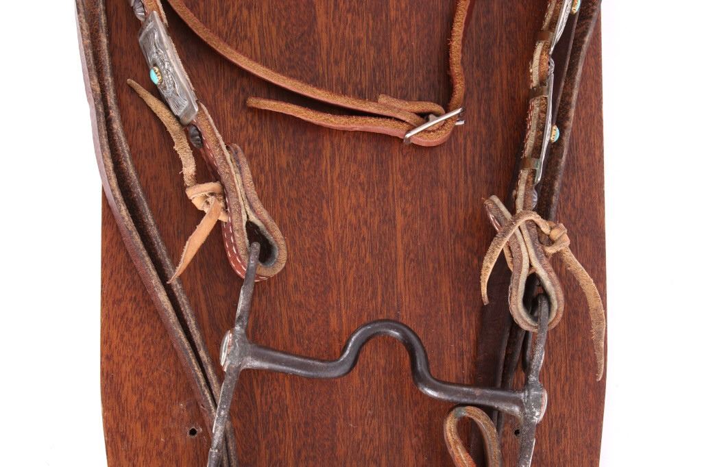 Custom Western Collecting Mahogany Stand