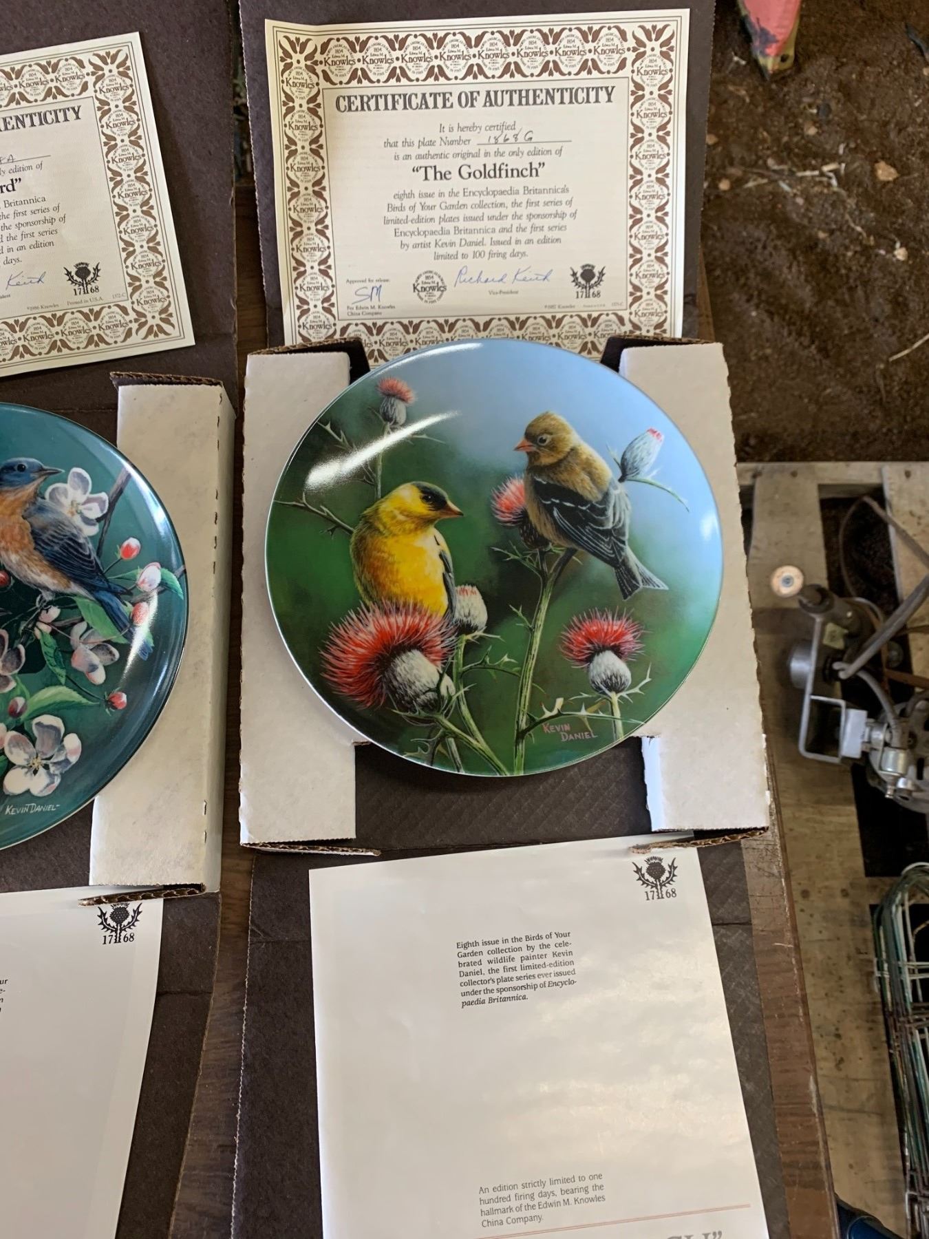 FINE CHINA COLLECTIBLE ART PLATES (5)