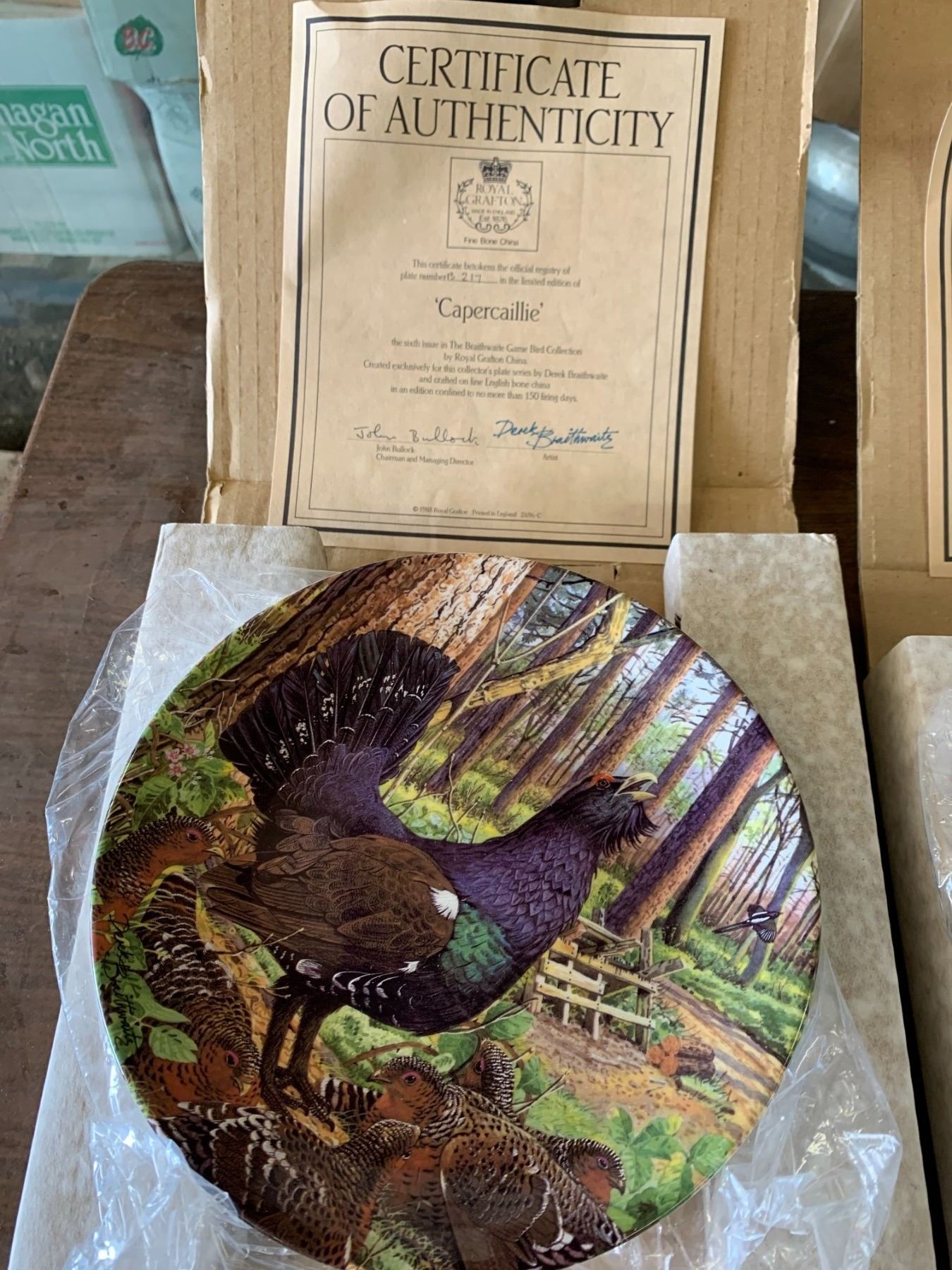 FINE CHINA COLLECTIBLE ART PLATES (5)