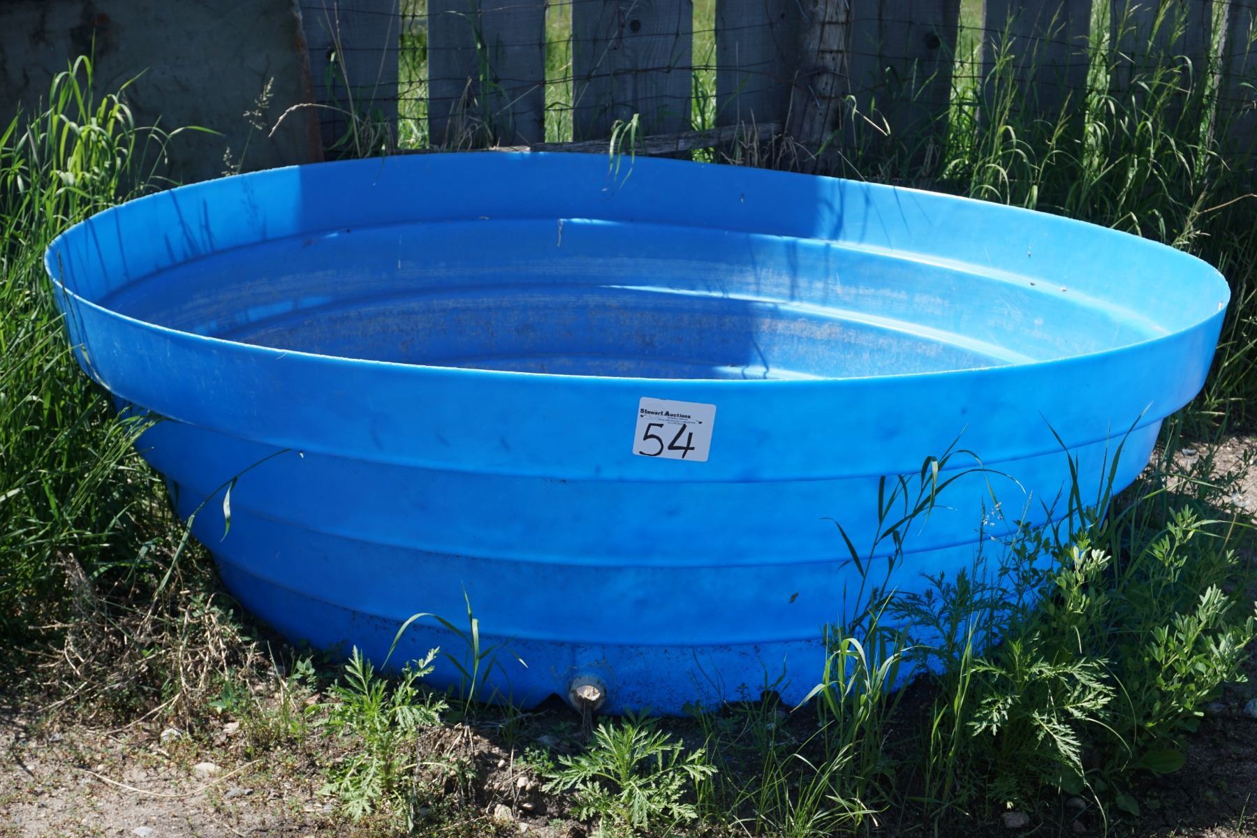 Blue plastic water trough (in pen)