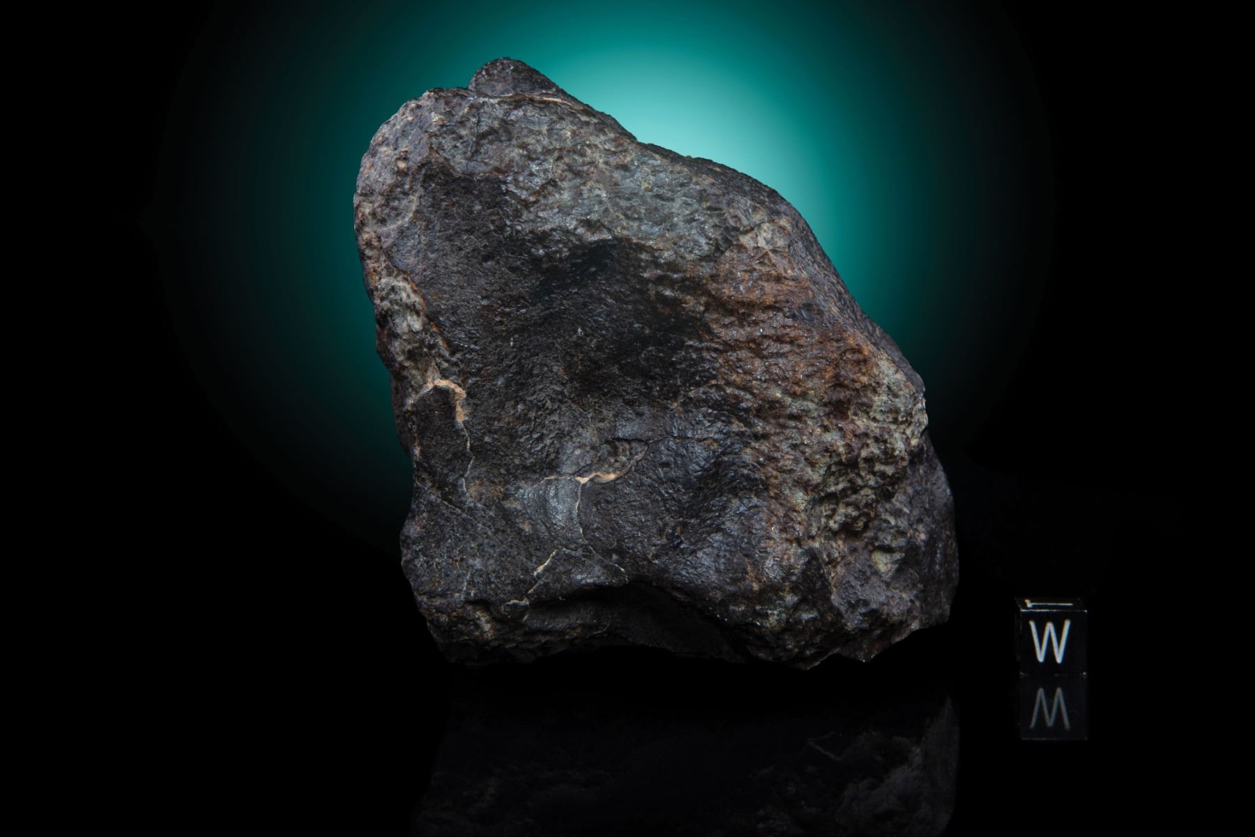 Northwest Africa (NWA) 869 Meteorite