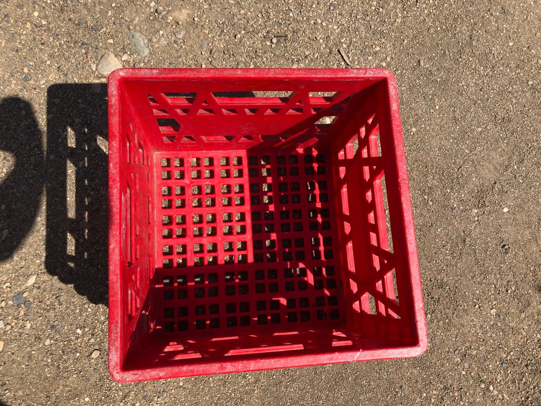 RED PALM DAIRY CRATE