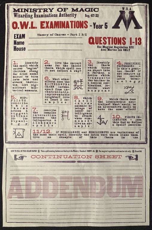 Harry Potter and the Order of the Phoenix (2007) - Owl Examination Artwork