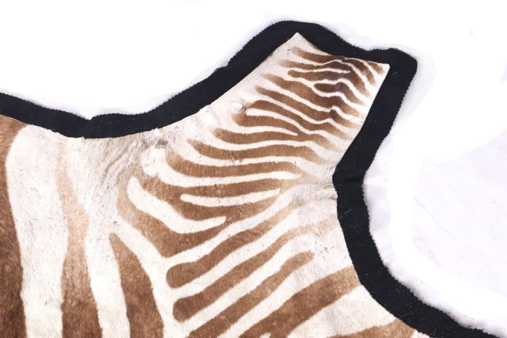 Taxidermy Trophy Zebra Hide Pelt Rug