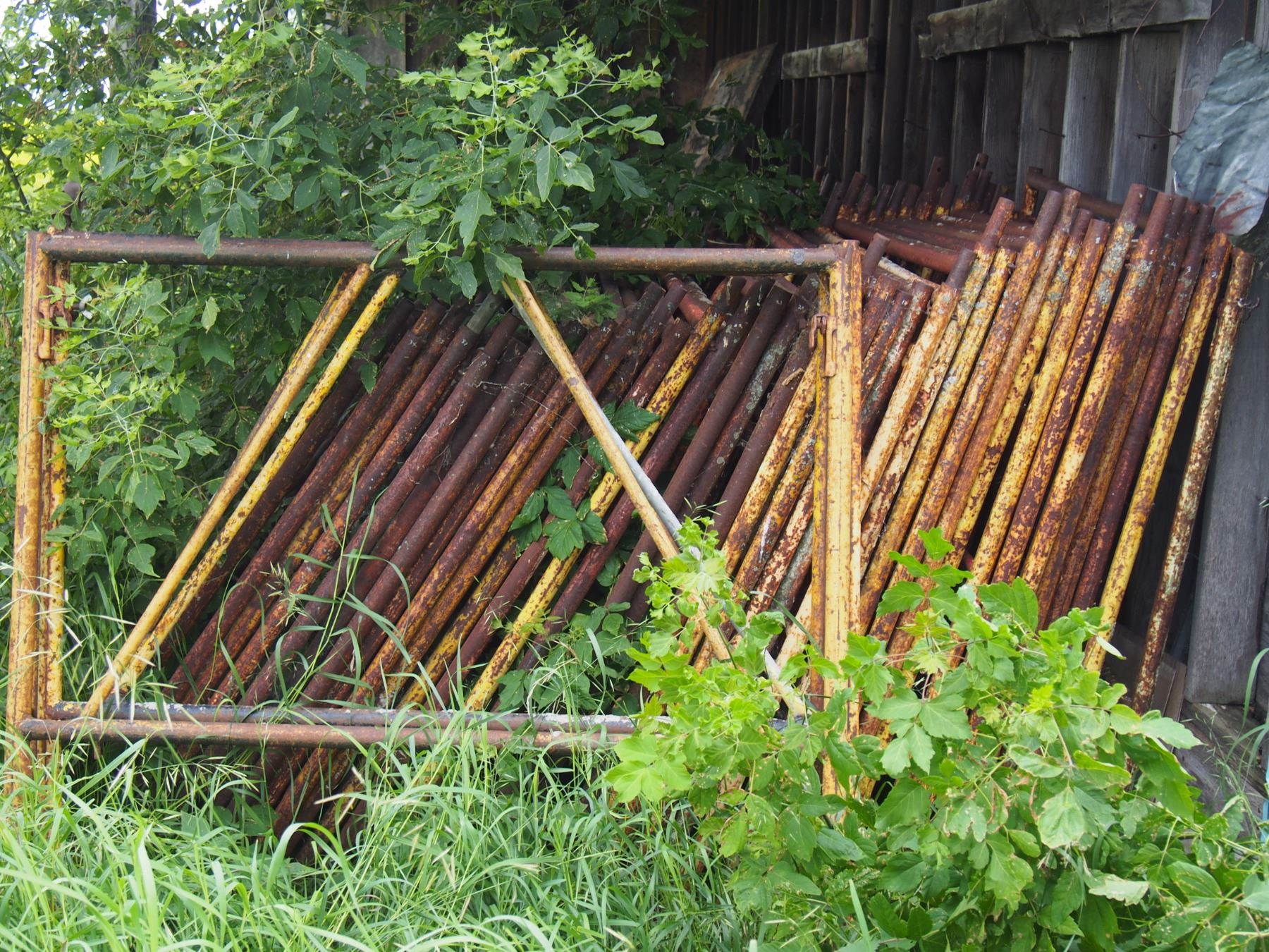 Scaffolding 5FT Lengths Approx 75 Pieces Bodnarus Auctioneering scaffolding-5ft-lengths-approx-75-pieces-bodnarus-auctioneering