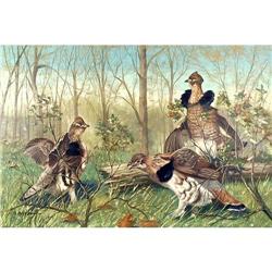 Peter Darro Original Oil Painting, Pheasants #1073865