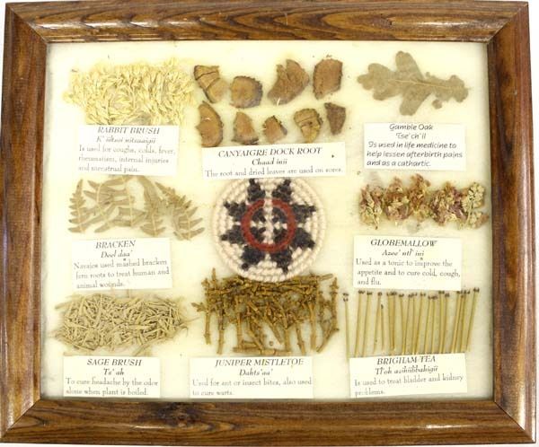 Native American Navajo Medicinal Herb Display