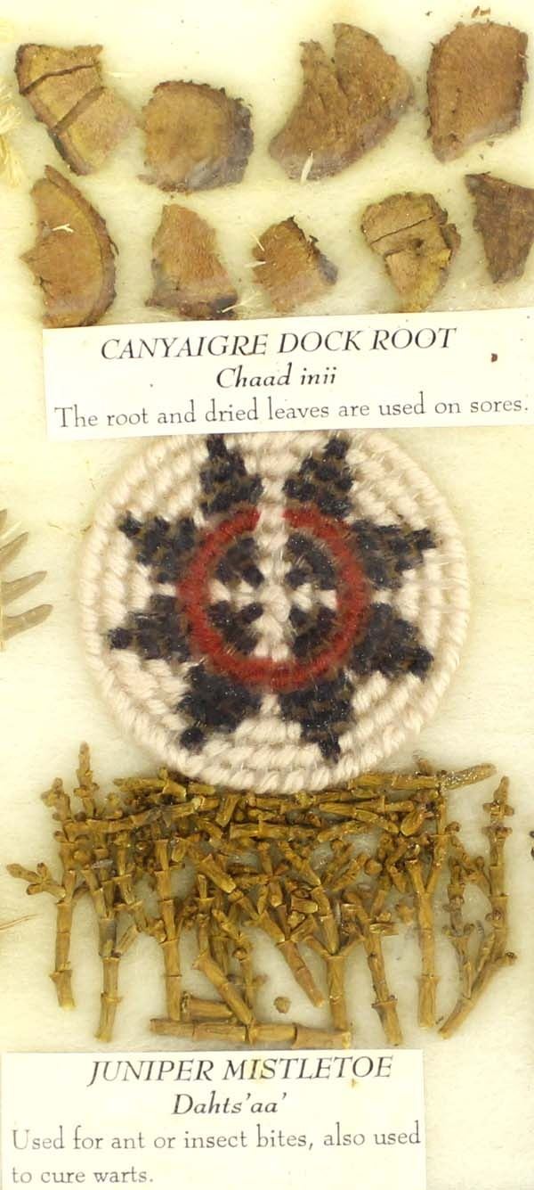 Native American Navajo Medicinal Herb Display