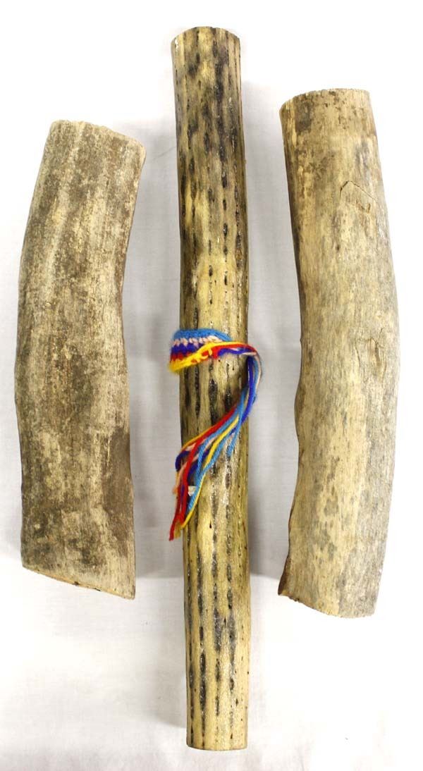 Native American Cholla Cactus Rain Stick and 2 Cottonwood Roots