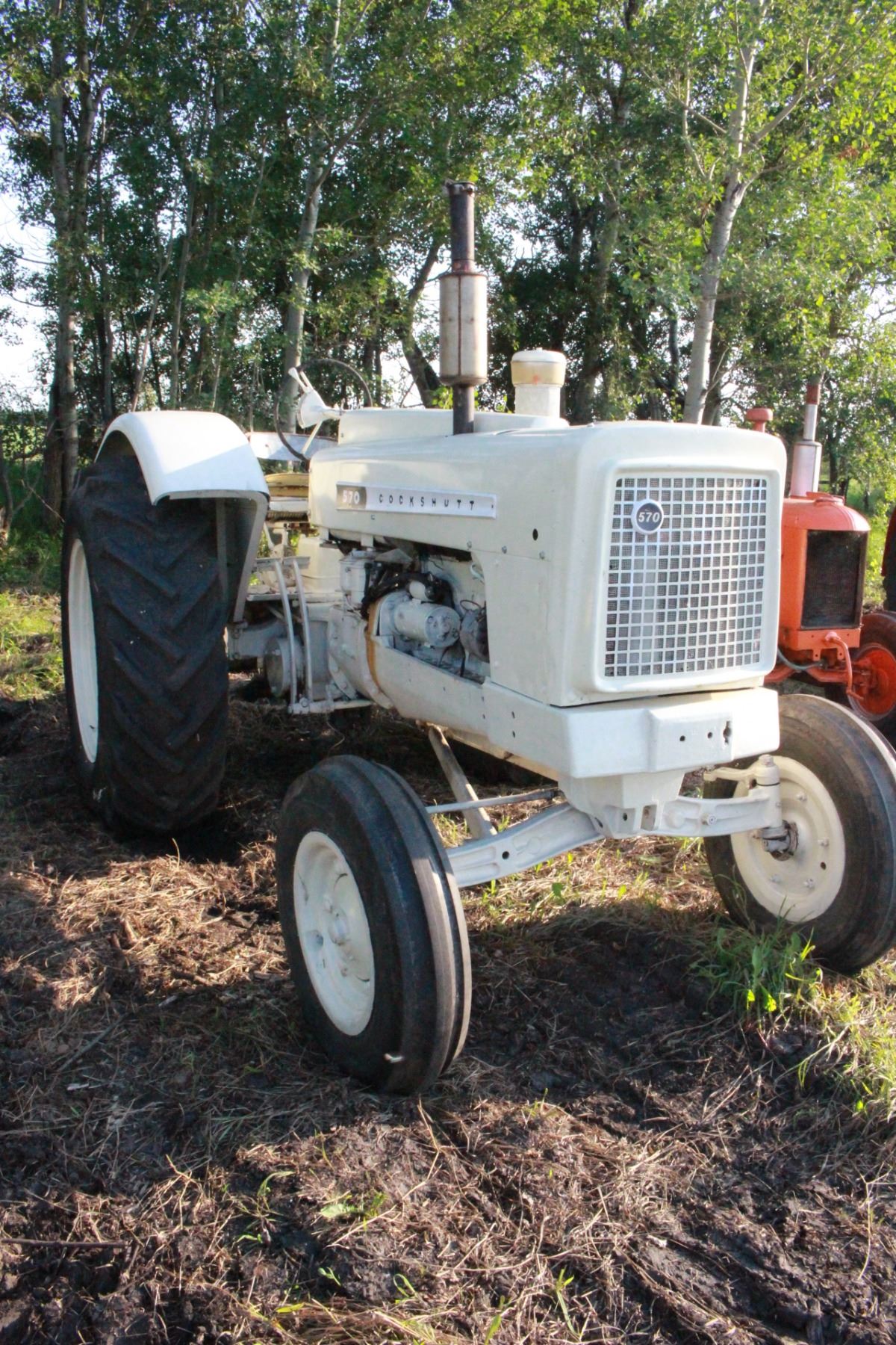 Cockshutt 570 Tractor (No GST)