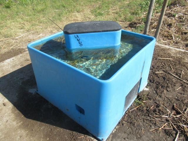 Lil Spring 3500, 200 Cow Auto Waterer