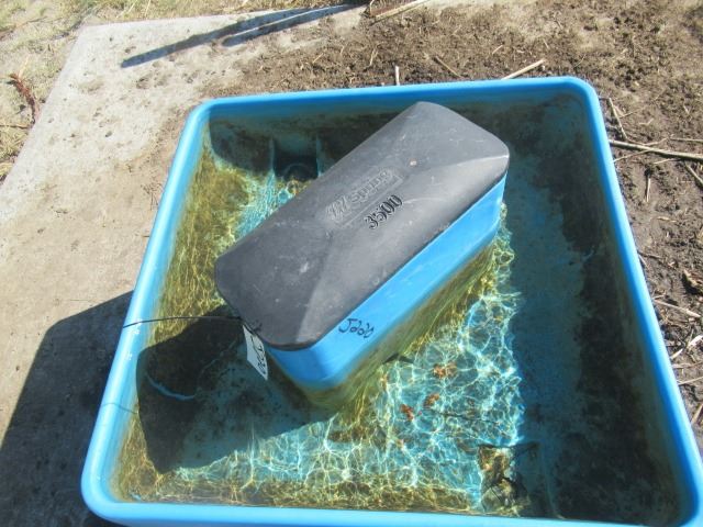 Lil Spring 3500, 200 Cow Auto Waterer