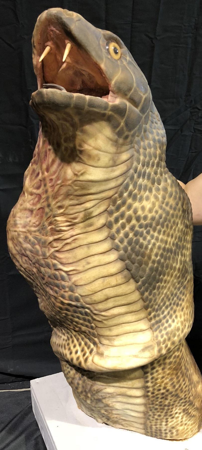 Hisss (2010) - Malika Sherawat (Snake Woman) Mechanical Transformation ...