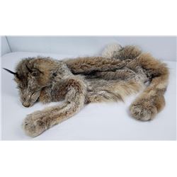 Rendezvous Native American Beaded Lynx Headdress