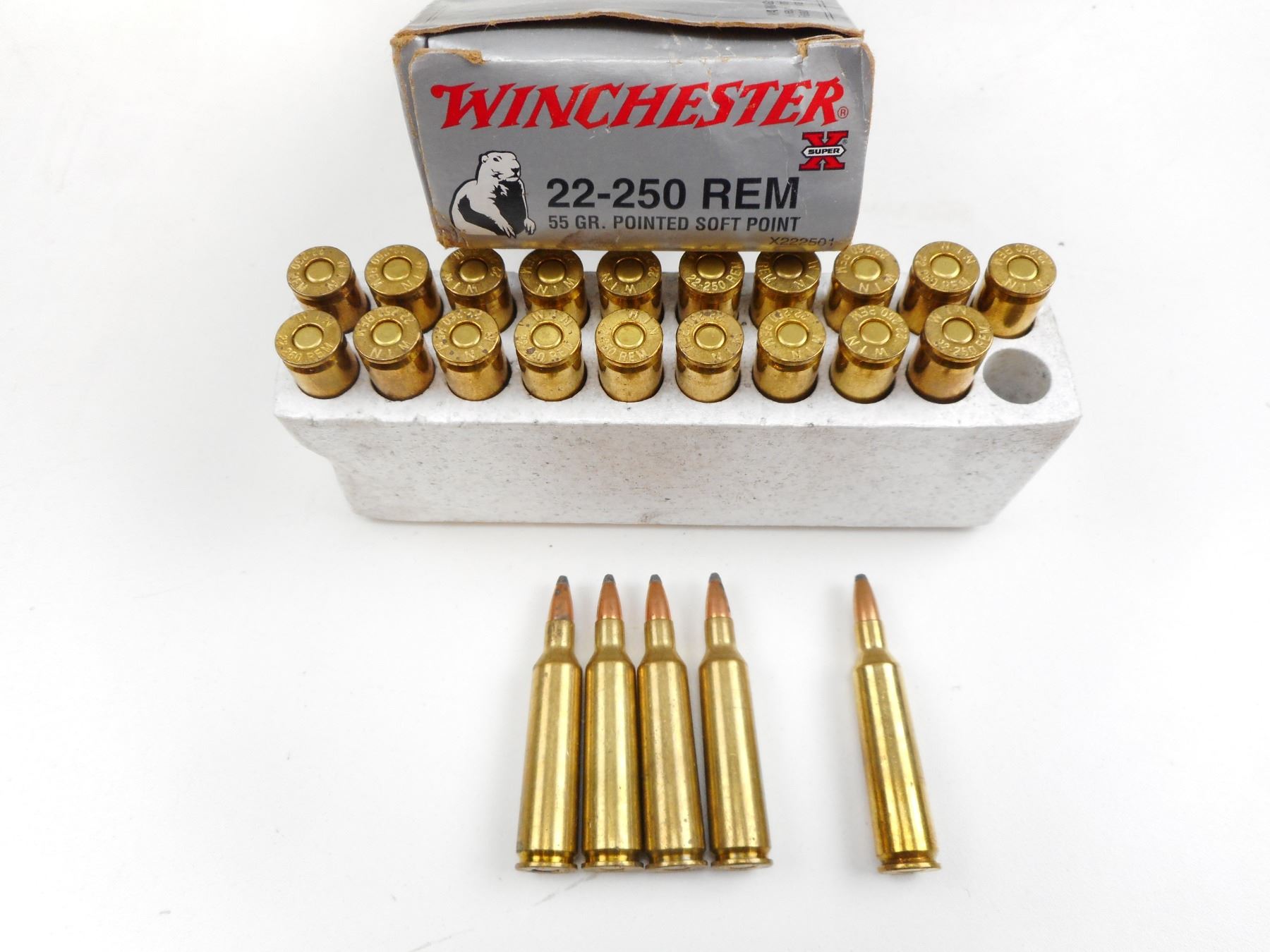 22 250 REM AMMO WINCHESTER 22 250 REM AMMO WINCHESTER