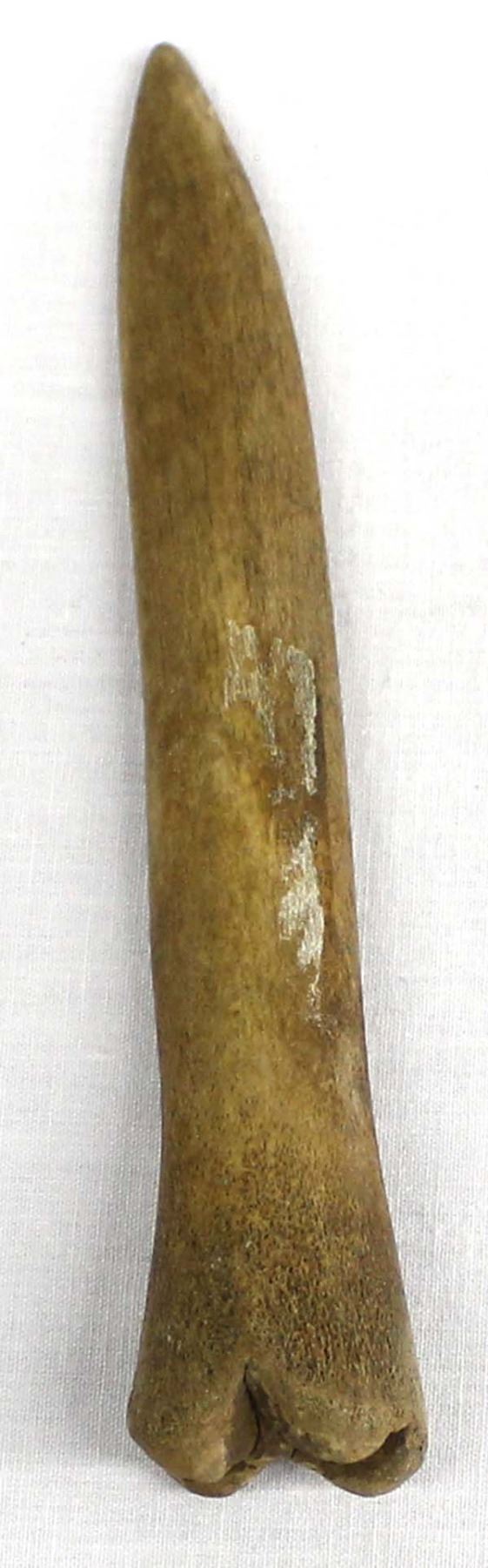 Prehistoric Native American Bone Awl