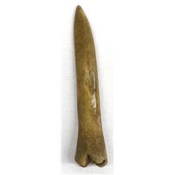 Prehistoric Native American Bone Awl