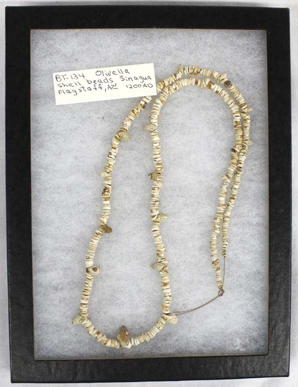 Prehistoric Sinagua Culture Olivella Shell Beads