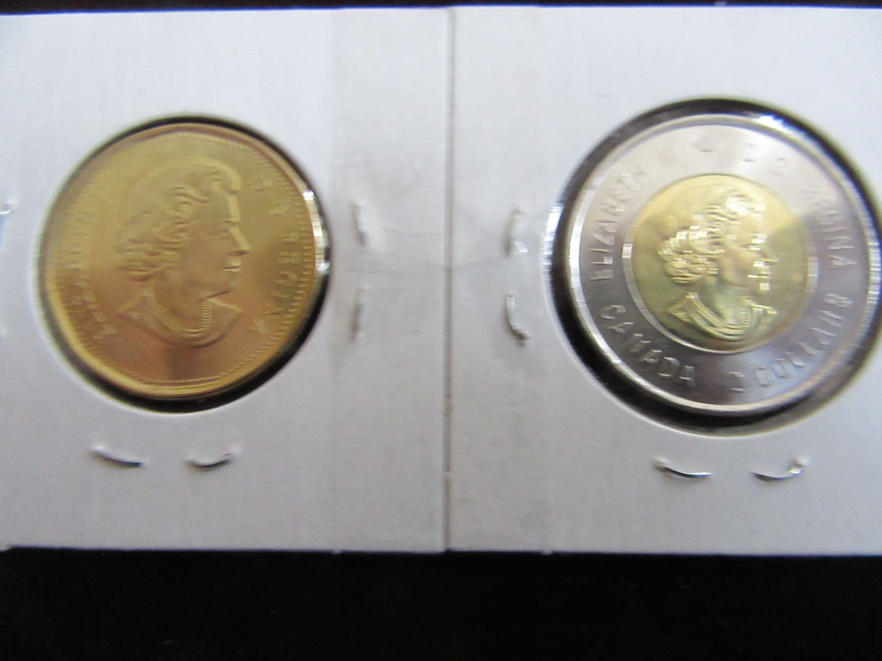 2019 COLORED D-DAY TOONIE LOON DOLLAR