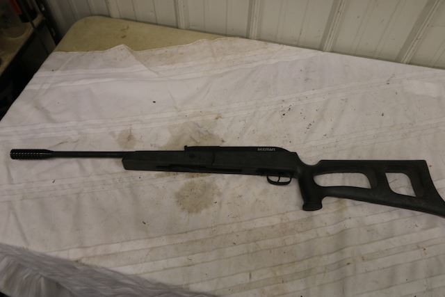 Beeman 500 Series Pellet Gun