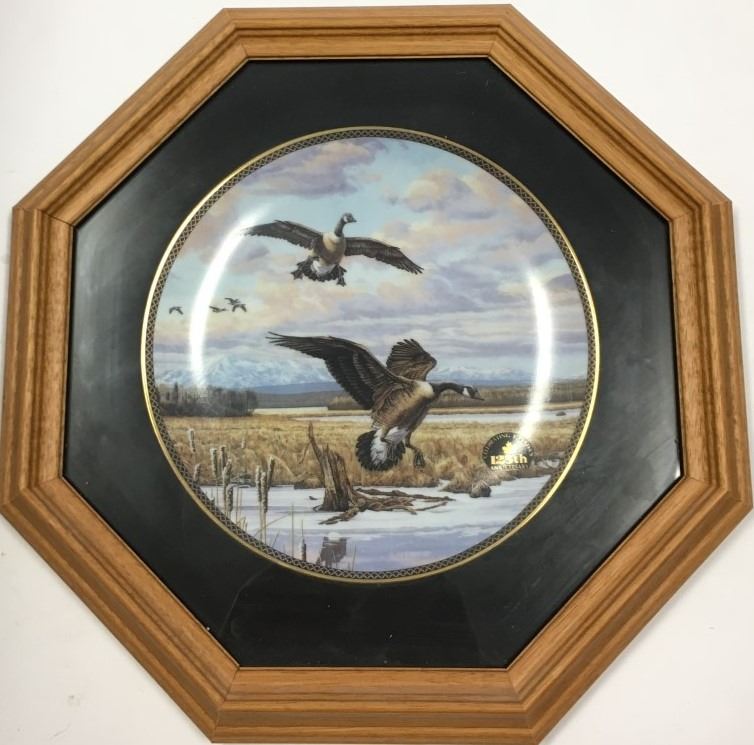 Collectors Plate in Frame