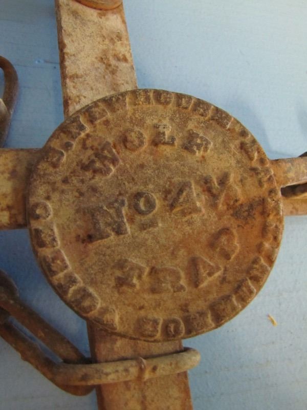 Oneida / Newhouse number 4 and 1/2 wolf trap 24 in Long