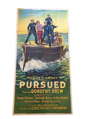 Pursued (1925) One Sheet Movie Poster