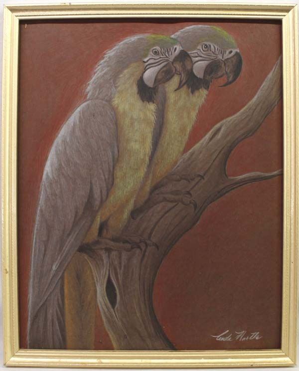 Original Chalk Parrot Picture by Linda Hartle