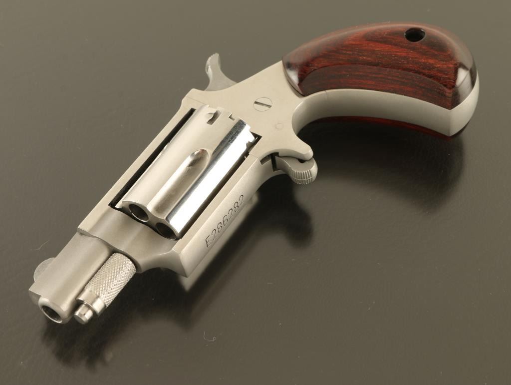 North American Arms NAA-22MS .22 Mag