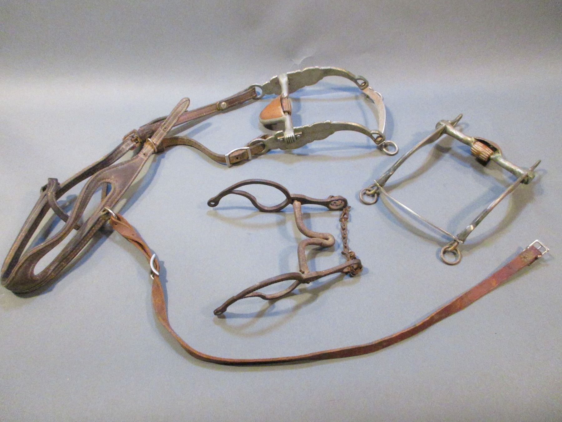 2 Sliester Bits With Nevada Cheeks And Salinas Mouths- 1 Striped Bit ...