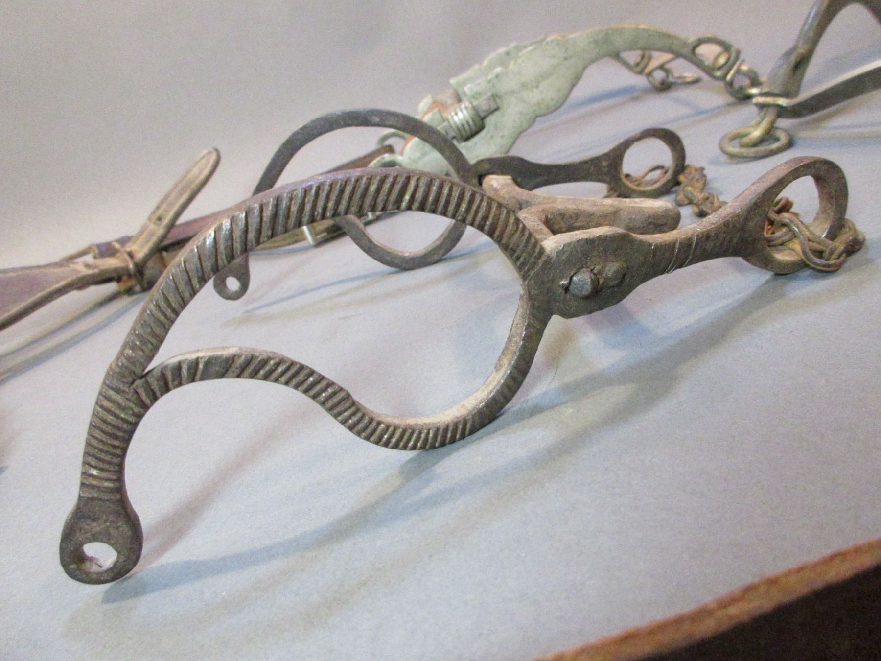 2 Sliester Bits With Nevada Cheeks And Salinas Mouths- 1 Striped Bit ...