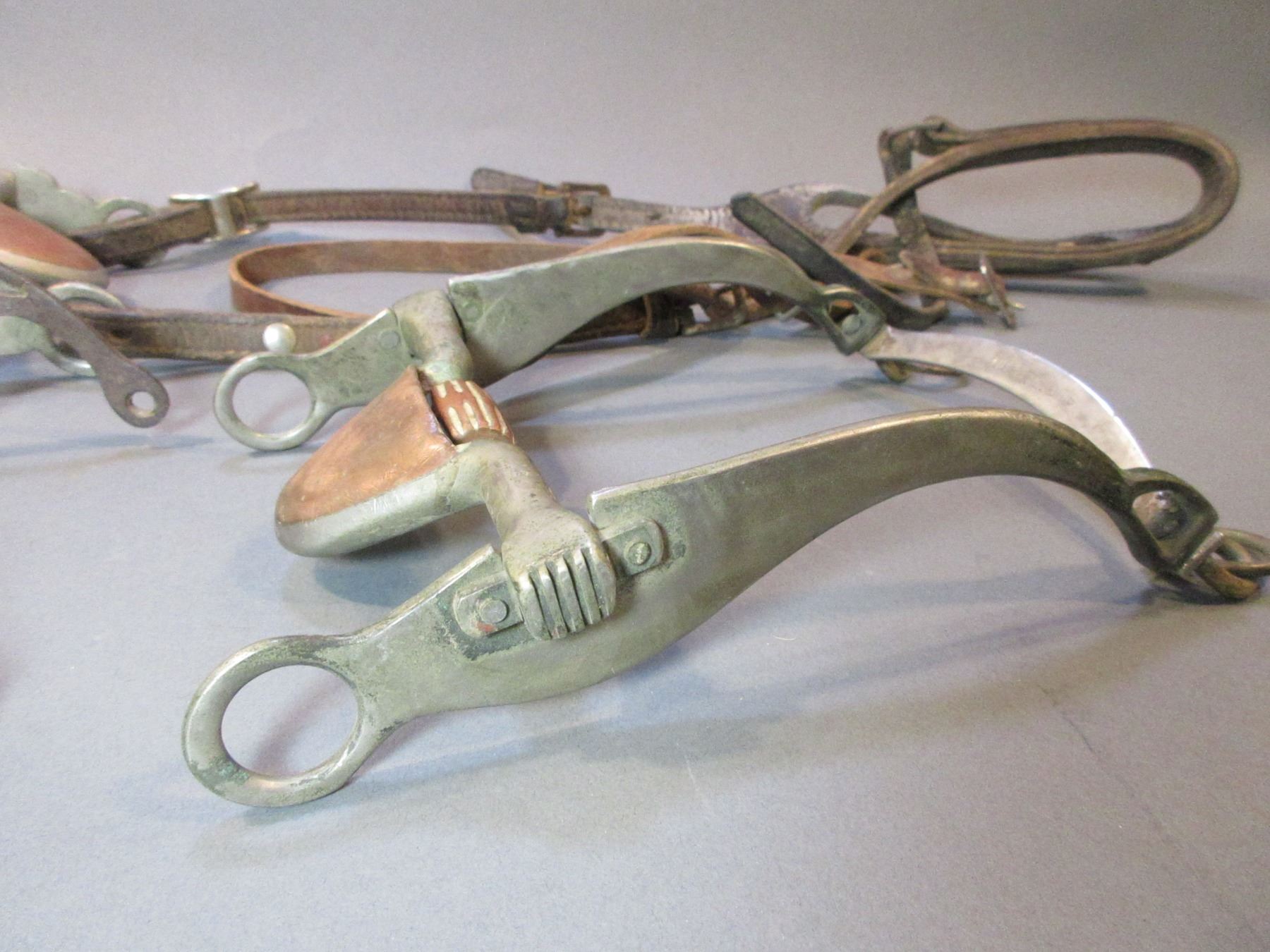 2 Sliester Bits With Nevada Cheeks And Salinas Mouths- 1 Striped Bit ...