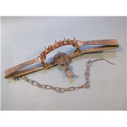 Victor #4 Double Long Spring Trap With Teeth