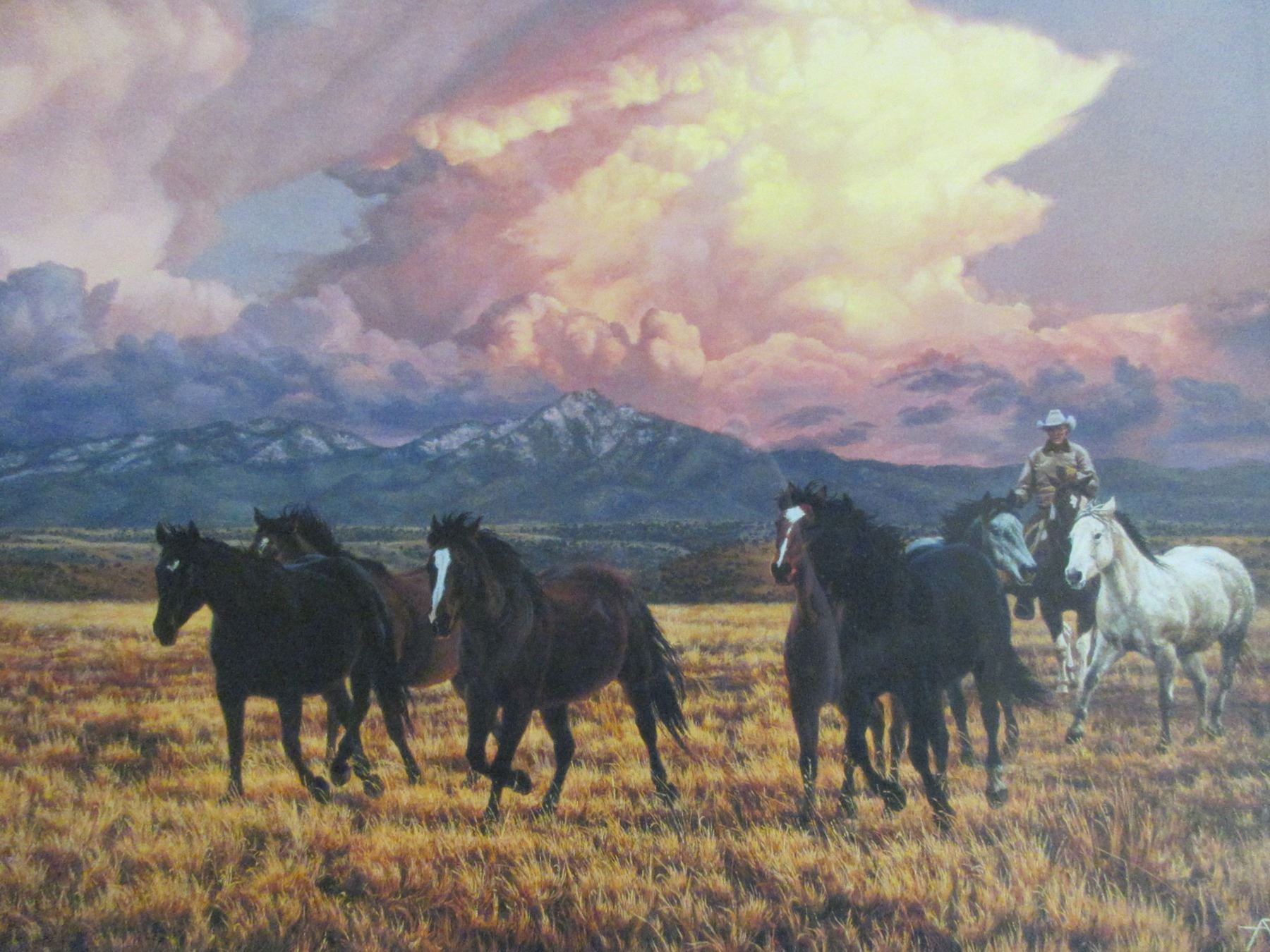 Signed Tim Cox Print "Twilight"- 39" X 30"