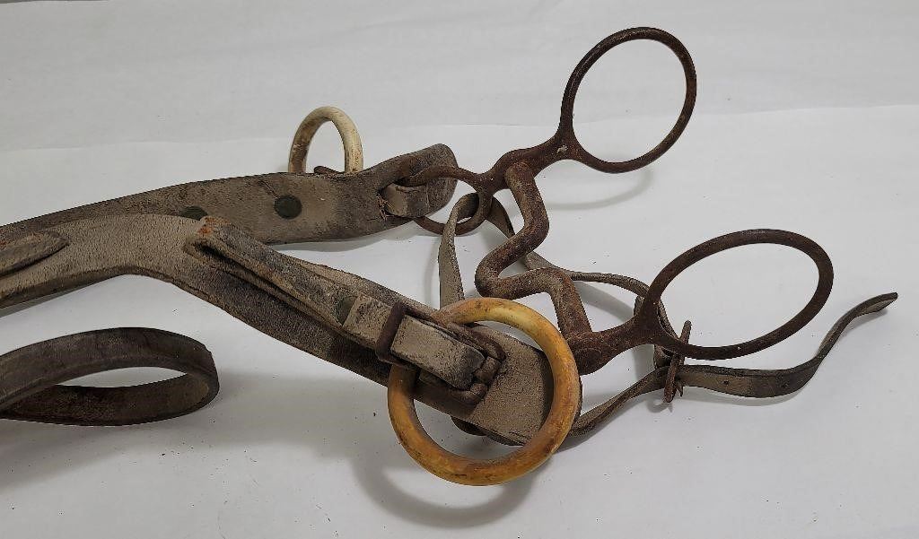 WW1 US Cavalry Bridle Bit w/ Rosettes